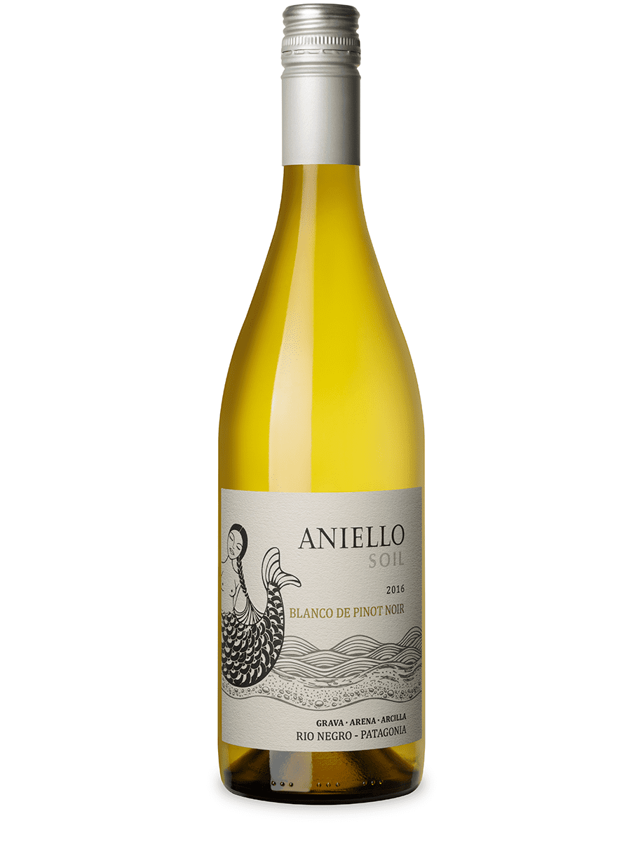 2022 Aniello Blanco de Pinot Noir from Argentina - GVI Wines